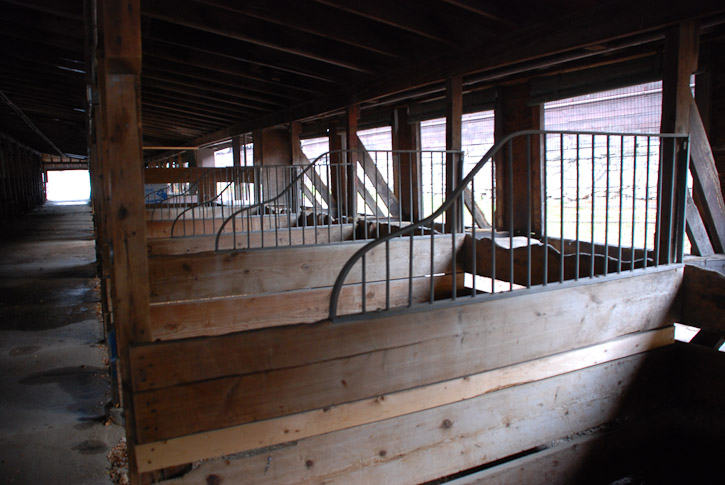 Judging Arena 2011 Demolition