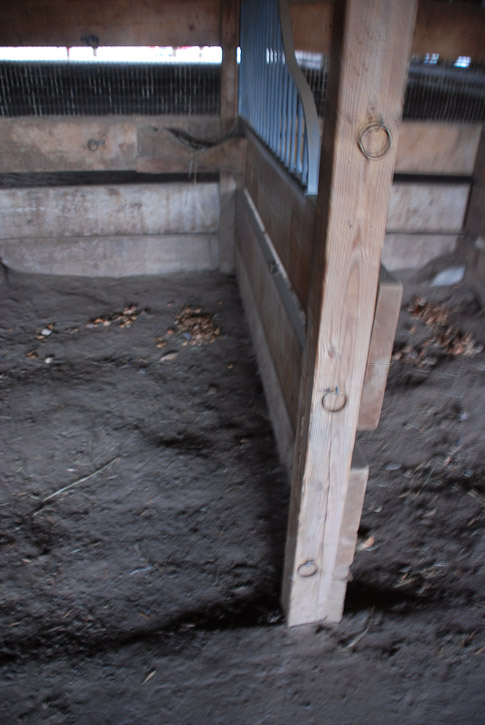 Judging Arena 2011 Demolition